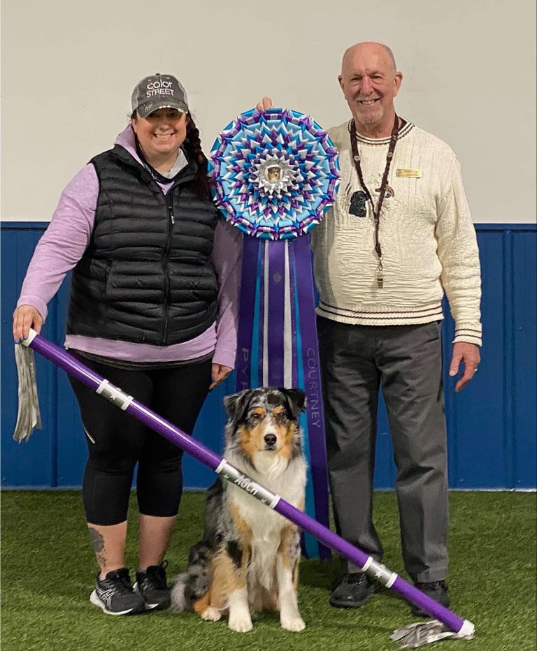 Agility - thenorthernborderboarding.com